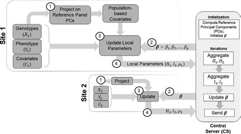 Illustration Of Federated Association Testing Workflow For Two Sites Download Scientific