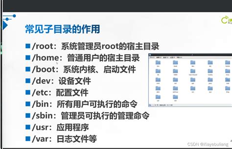 Linux 基础语法（二） Csdn博客