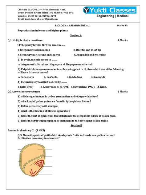 Bio Assignment 1 Reproduction In Flowering Plants Pdf Plants Horticulture