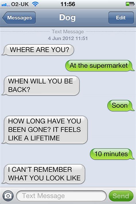What If Dogs Could Text? 25 Hilarious Texts From Dogs | Bored Panda