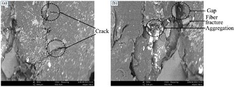Sem Micrograph For Fractured Specimen With 40 Fibre Loading