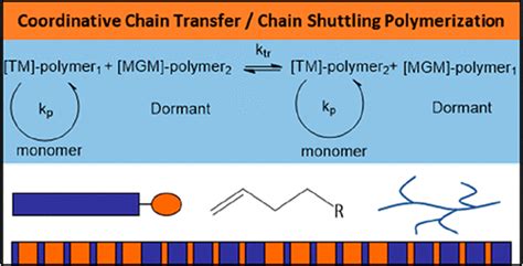 Coordinative Chain Transfer And Chain Shuttling Polymerization