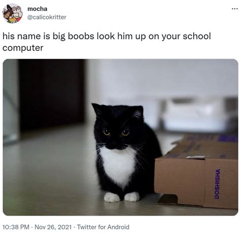 His Name Is Big Boobs Look Him Up On Your School Computer Know Your Meme