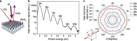 A Geometry Of The Experiment For Investigation Of The Role Of Download Scientific Diagram