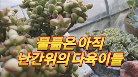 자리차지못한💥난간위의 육이들💥아직은 무더운날씨 건강조심하세요 🤗 ️ Youtube