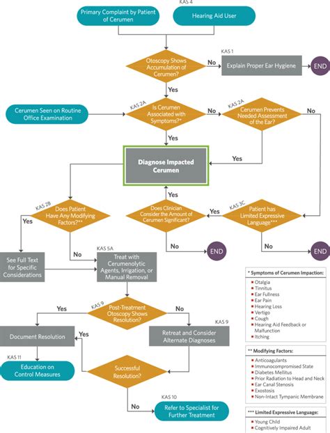 Algorithm Showing The Interrelationship Of Guideline Key Action Download Scientific Diagram