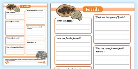 Ks1 Fossils Fact File Template Teacher Made Twinkl