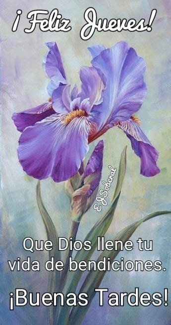 350 Ideas De Jueves En 2025 Feliz Jueves Jueves Imagenes De Feliz