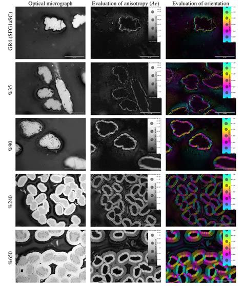 3 5 Textural Analysis Of Pyrocarbon Deposit By Optical Microscopy