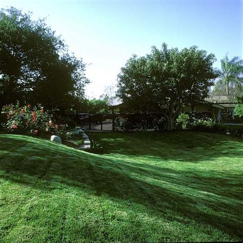 Navigating The Concrete Jungle The Impact Of Urbanization On