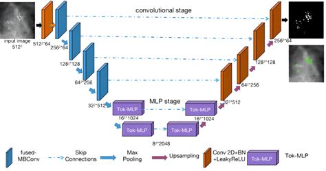 image segmentation algorithm pro unext network structure download