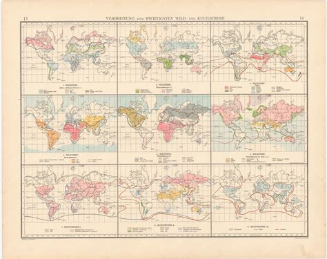 World 1899 Wildlife And Culture Wardmaps Llc