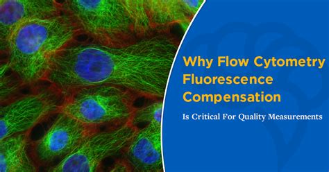 Why Flow Cytometry Fluorescence Compensation Is Critical For Quality Measurements Expertcytometry