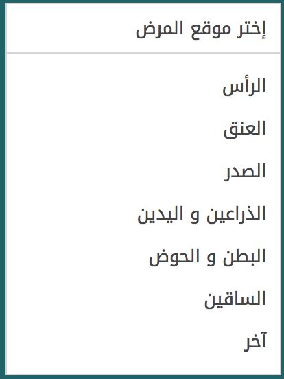 Css How To Show All Options Of Select Element At Once Stack Overflow