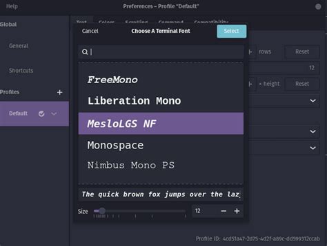 [powerlevel10k] can t switch to regular font i m using gnome terminal