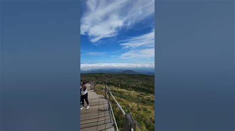 가슴이 뻥 뚫리는 풍경 한라산 성판악 탐방로 Youtube