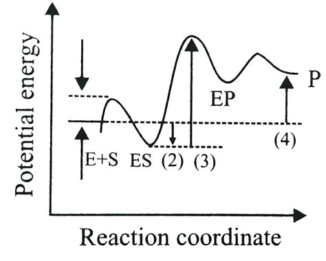 Parallel Reaction Consecutive Reaction Special Cases Of First Order