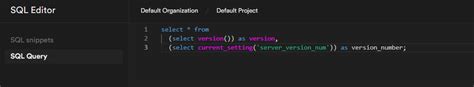 Unable To Create Sql Snippets On Selfhosted Instance Issue 12801