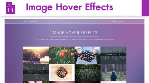 CSS Libraries สำหรบทำ Hover Image ใหสวยงาม สดชค blog sogoodweb