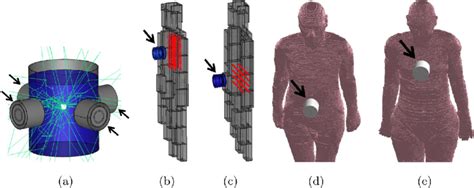 Geant4 Models Of The Different Phantom Configurations Torso Phantom Download Scientific