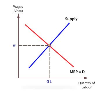 The Labour Market Diagram Quizlet