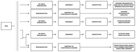 Rna Sequence Chart
