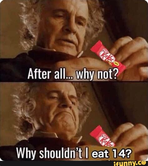 After All Why Not Why Shouldit I Eat 14 Ifunny