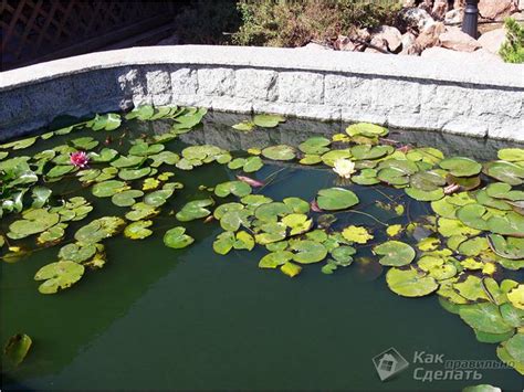 Водоем своими руками - как сделать водоем на участке (+фото)