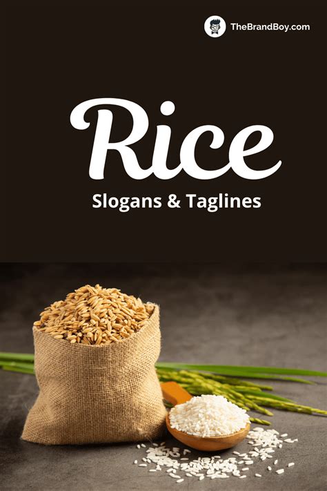 871 Rice Slogans For Perfect Marketing