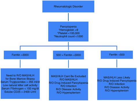 5 Algorithmic Approach For Hyperferritinemia With Pancytopenia In