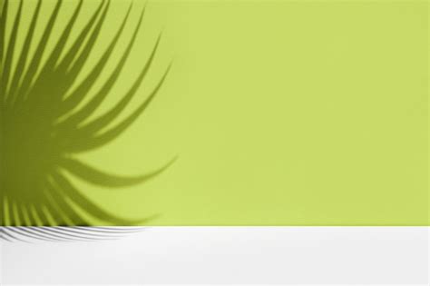 열대 야자수 잎의 그림자가있는 최소한의 추상적 인 배경 화장품 프리젠 테이션 파스텔 밝은 녹색 벽과 흰색 테이블에 프리미엄 연단 쇼케이스 디스플레이 케이스 전면 보기 모형