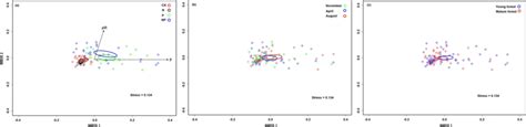 non metric multidimensional scaling nmds ordination of arbuscular