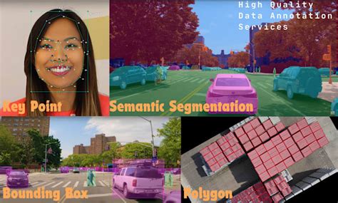do image annotation data labeling bounding box polygon for ai by