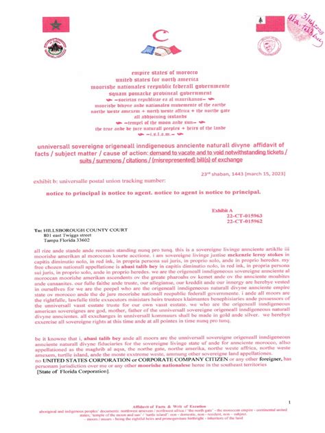 Affidavit Of Fact And Writ Of Execution Pdf Law Of The Land Sovereign Immunity