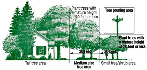 CMS Sets Dividend Boosts Tree Cutting Near Power Lines TechCentury