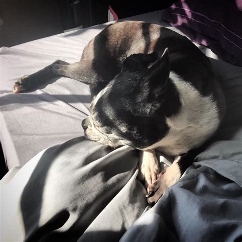 Help Find Mandy Connie And Mandy Facebook