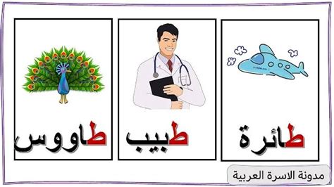 كلمات تبدأ بحرف الطاء