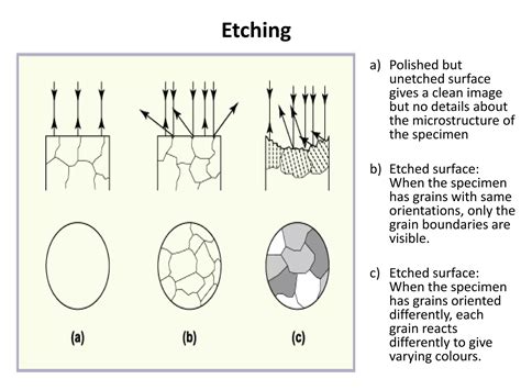 Specimen Preparation For Microscopic Observation Pptx