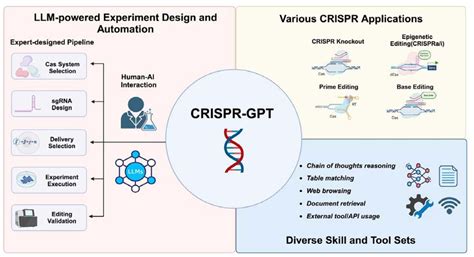 Optimizing Engineered Crispr Systems For Multi Target And Rna Editing Gentaur Online