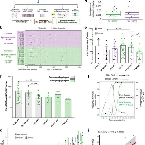 Comprehensive Functional And Multi Omics Analyses Show Early And Download Scientific Diagram