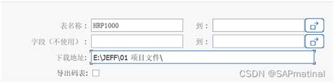Matinal：sap Abap 写一个能导出导出表结构并保存到excel的功能 Dfies Fieldtext Csdn博客