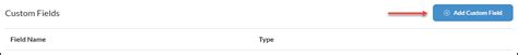 managing custom fields intelliagent