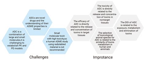 Strategies And Methods For Studying ADC Payload Release And Metabolism WuXi AppTec DMPK Service