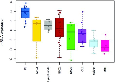 Boxplot On Mrna Expression Of Tox Across Low Grade B Cell Lymphomas And Download Scientific