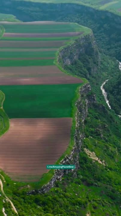 [video] Henda On Linkedin Happy Saturday