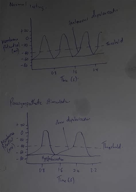 Solved Criteria For Success To Be Successful You Will Make Sure You