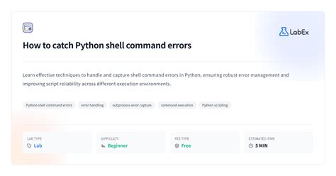 How To Catch Python Shell Command Errors Labex
