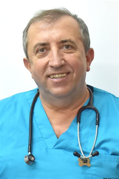 Despre Noi Spitalul Universitar Veterinar De Urgenta Prof Dr Alin
