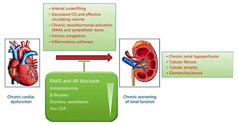 Pathophysiology And Pharmacological Management Of Chronic CRS Type 2 Download Scientific