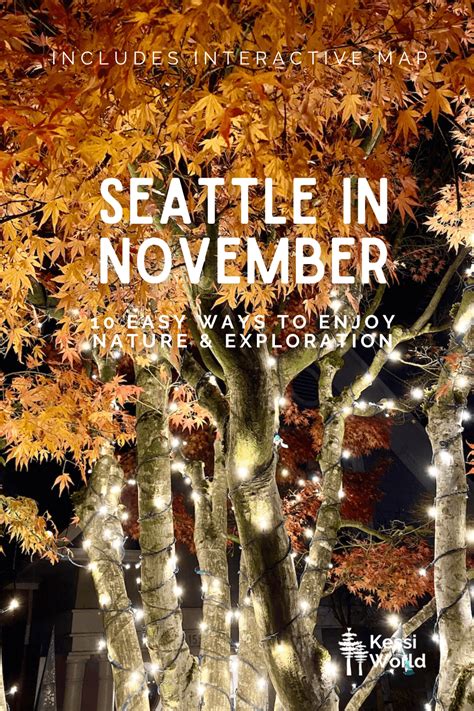Seattle In November 10 Easy Ways To Find A Nature Connection Kessi
